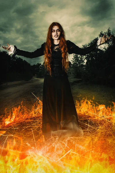 Sorceress fire Stock Photos, Royalty Free Sorceress fire Images ...