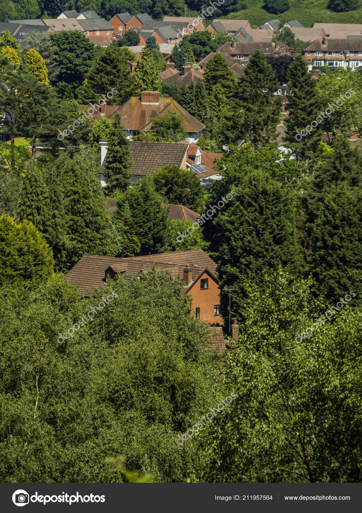 View English Suburbs Trees ⬇ Stock Photo, Image by © davidmartyn #211957564