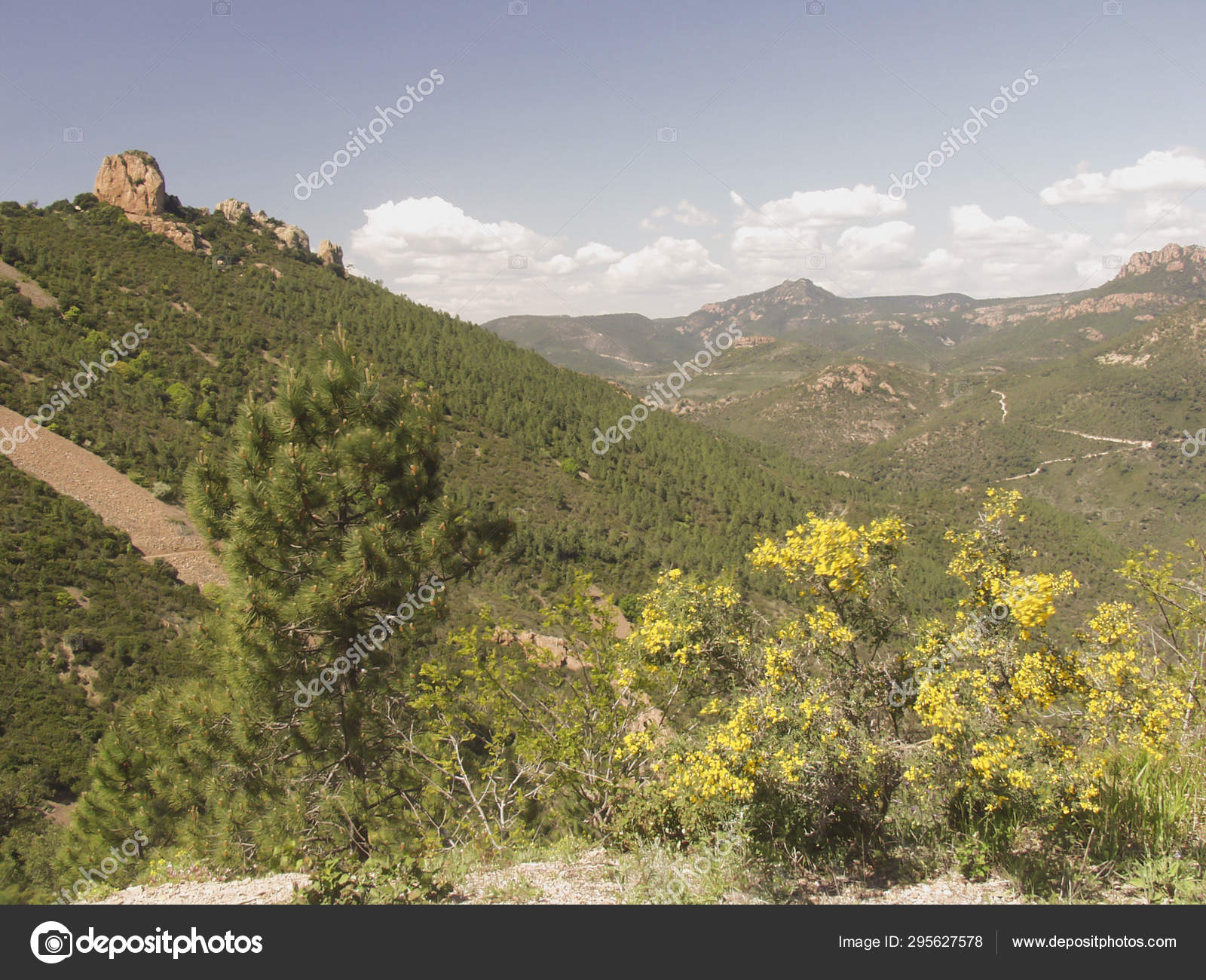Fort Domaniale L'esterel National Forest Esterel Massif Lesterel ...