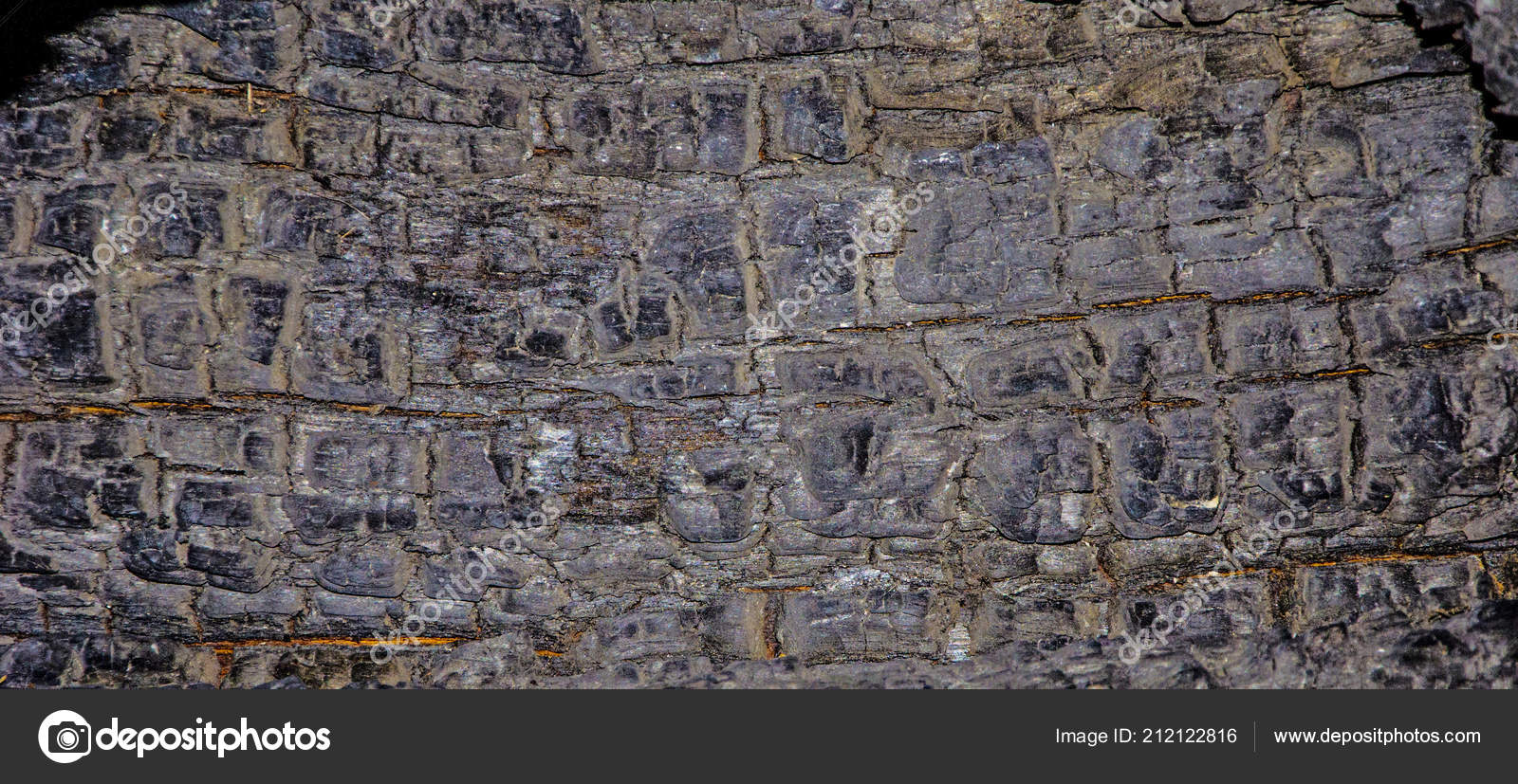 Wood Texture Texture Relief Breeds Solid Wood — Stock Photo ...