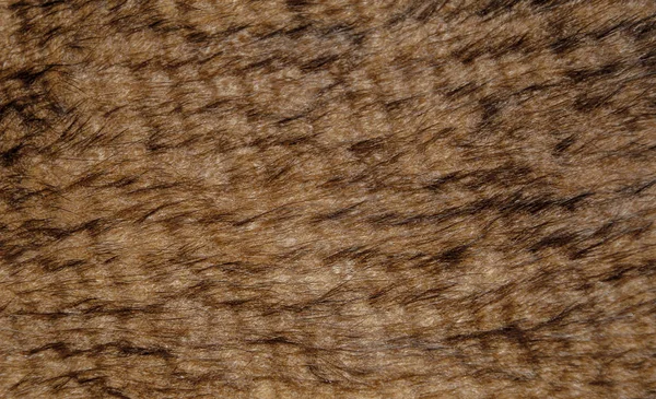 Seamless fur texture Stock Photos, Royalty Free Seamless fur texture ...
