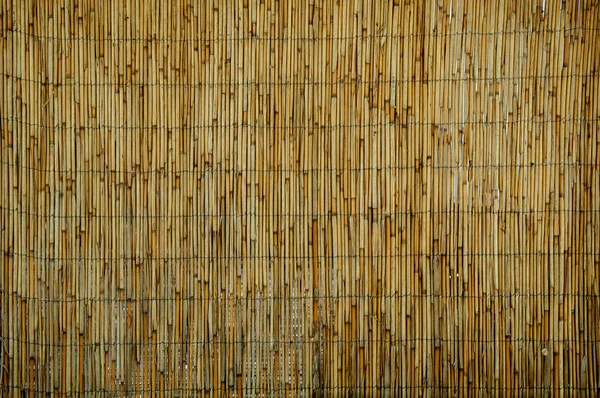 Cane roof texture — Stock Photo © stevanovicigor #19003631