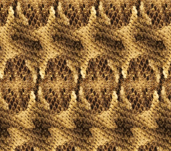 Snake skin texture. Brown with yellow snake scales background with ...