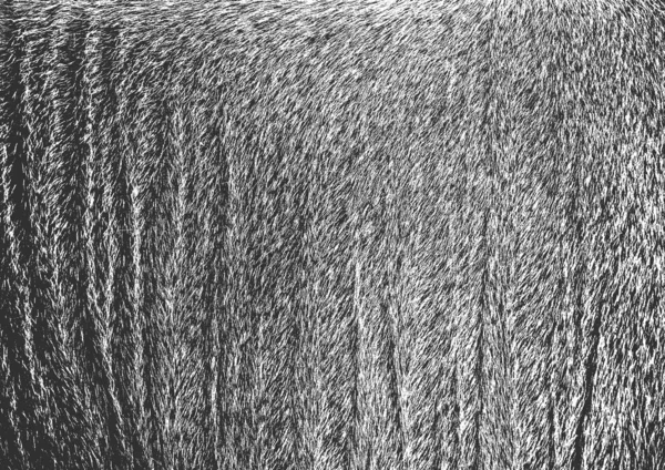 100,000 Auto detail Vector Images | Depositphotos