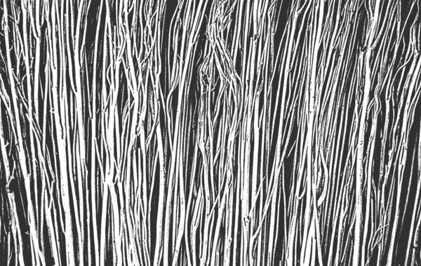 100,000 Filament fibers Vector Images | Depositphotos