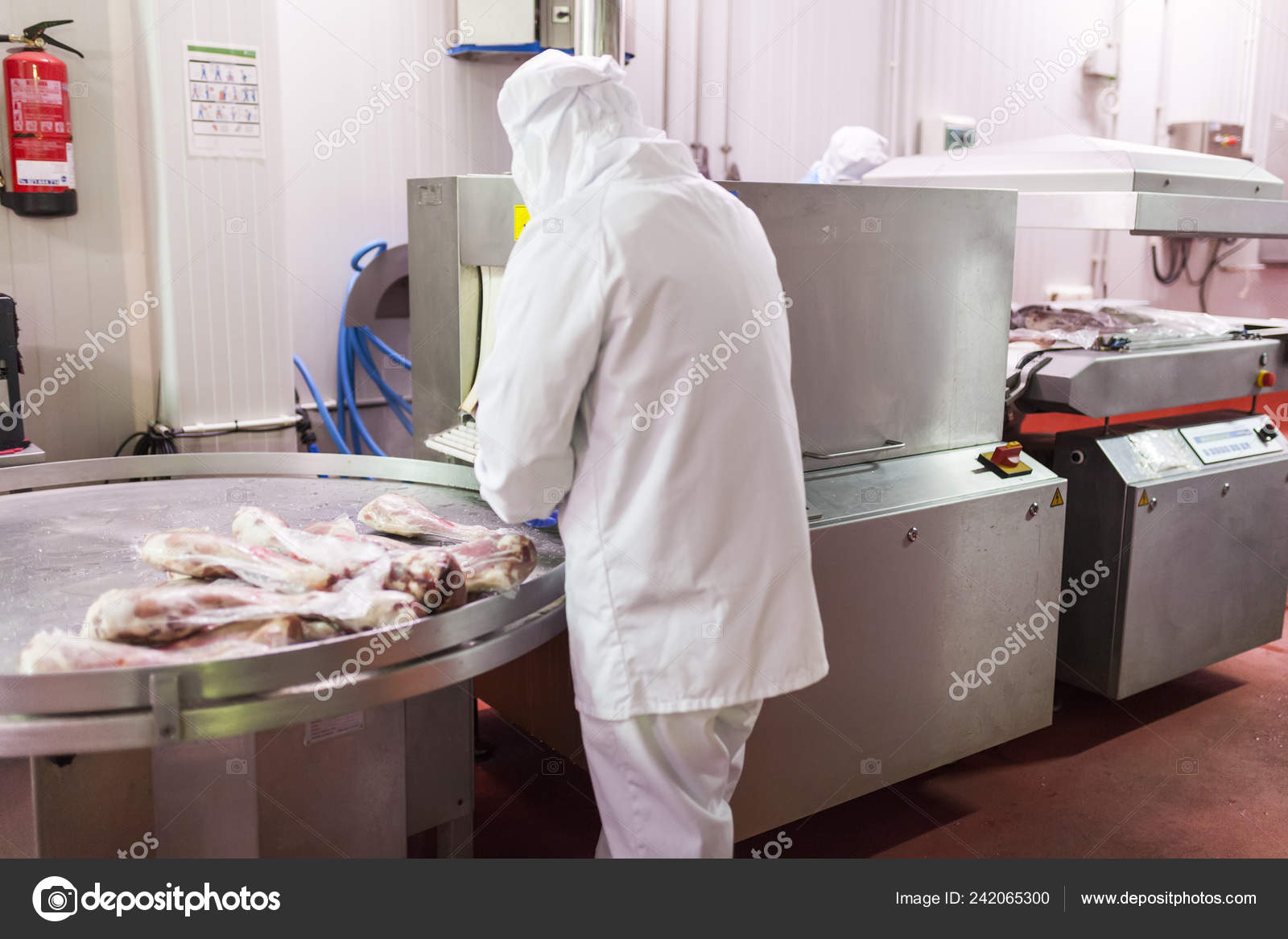 Worker Hygienic Clothing Using Vacuum Packaging Machine Meat Cutting ...