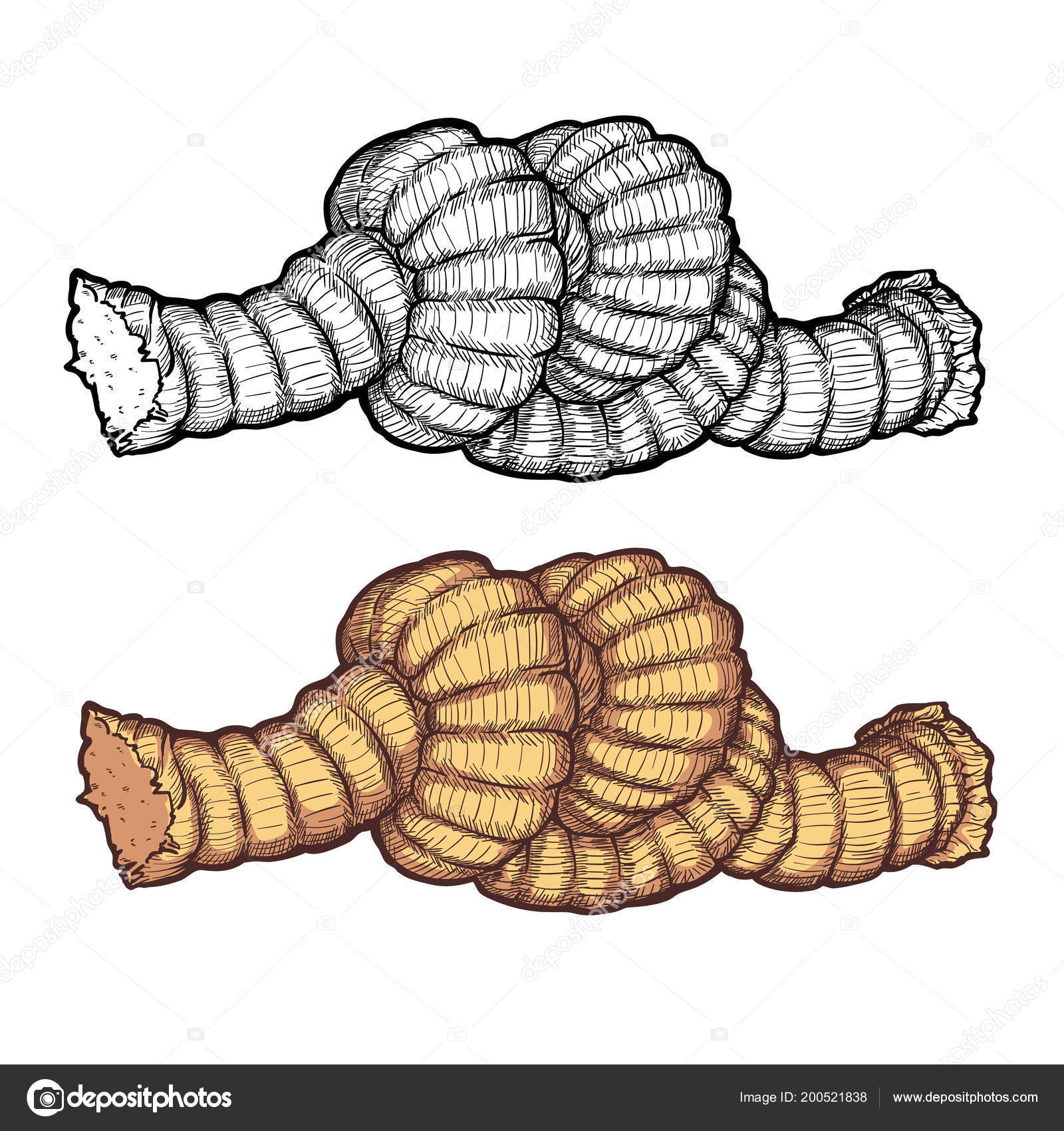 Sailor tying the knot and cord swirl. Isolated on white background ...