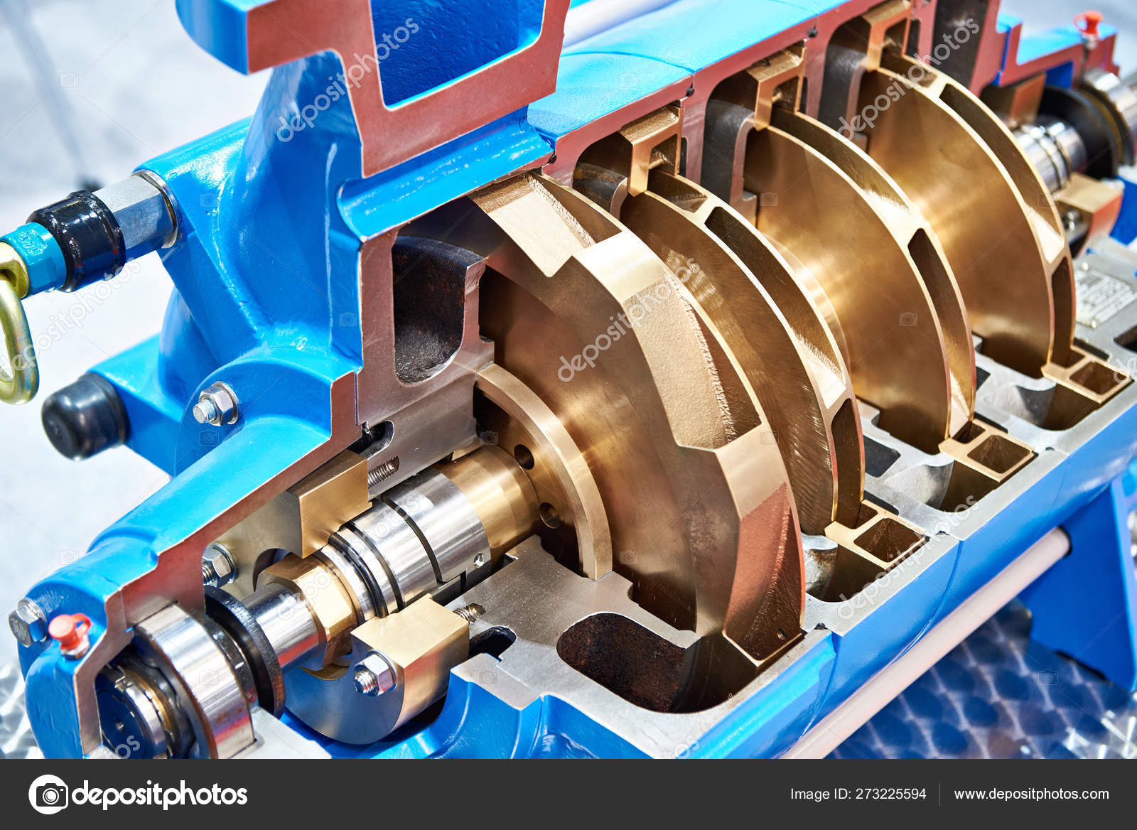 Centrifugal Pump Cross Section