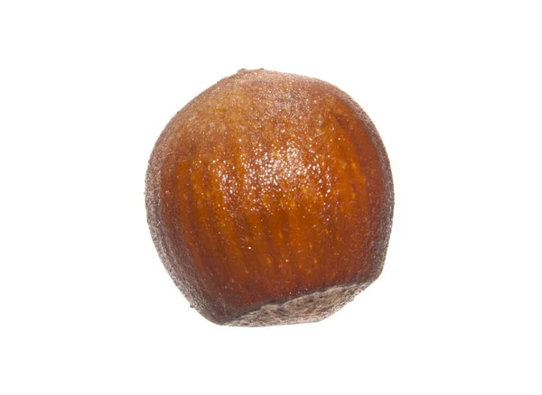 Ground cola nut Stock Photos, Royalty Free Ground cola nut Images ...