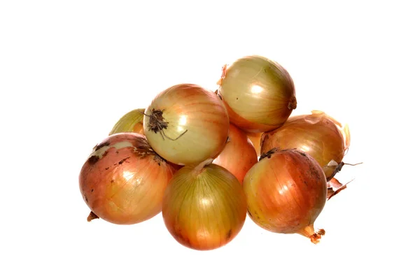 Bawang Stock Photos, Royalty Free Bawang Images | Depositphotos