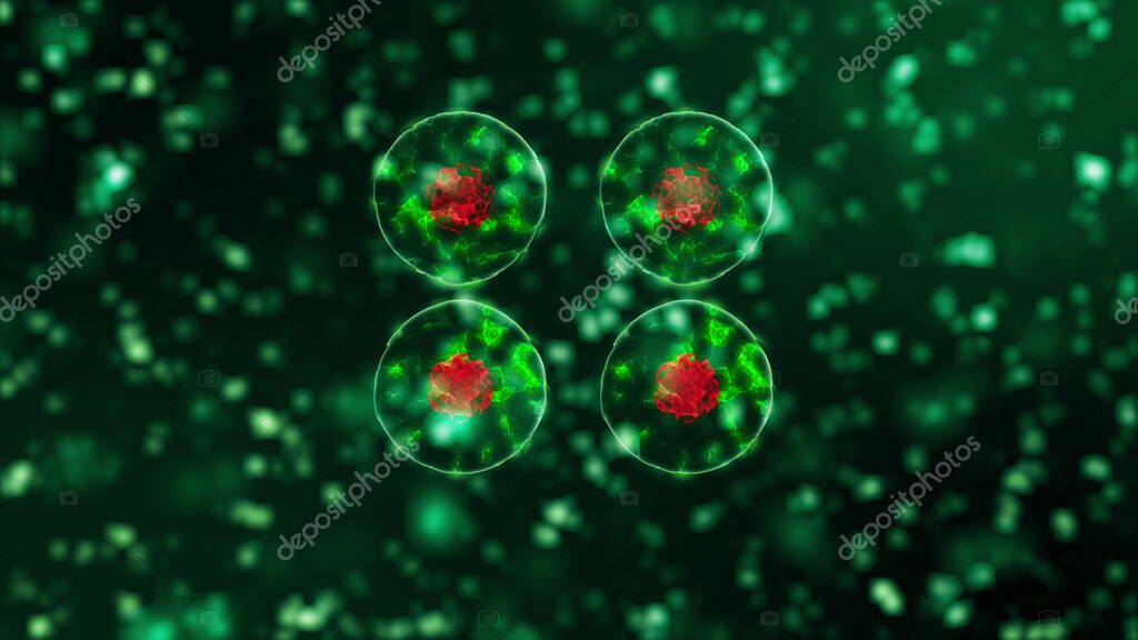 Resumen El modelo 3d de células patógenas coronavirus 2019-nCoV en ...