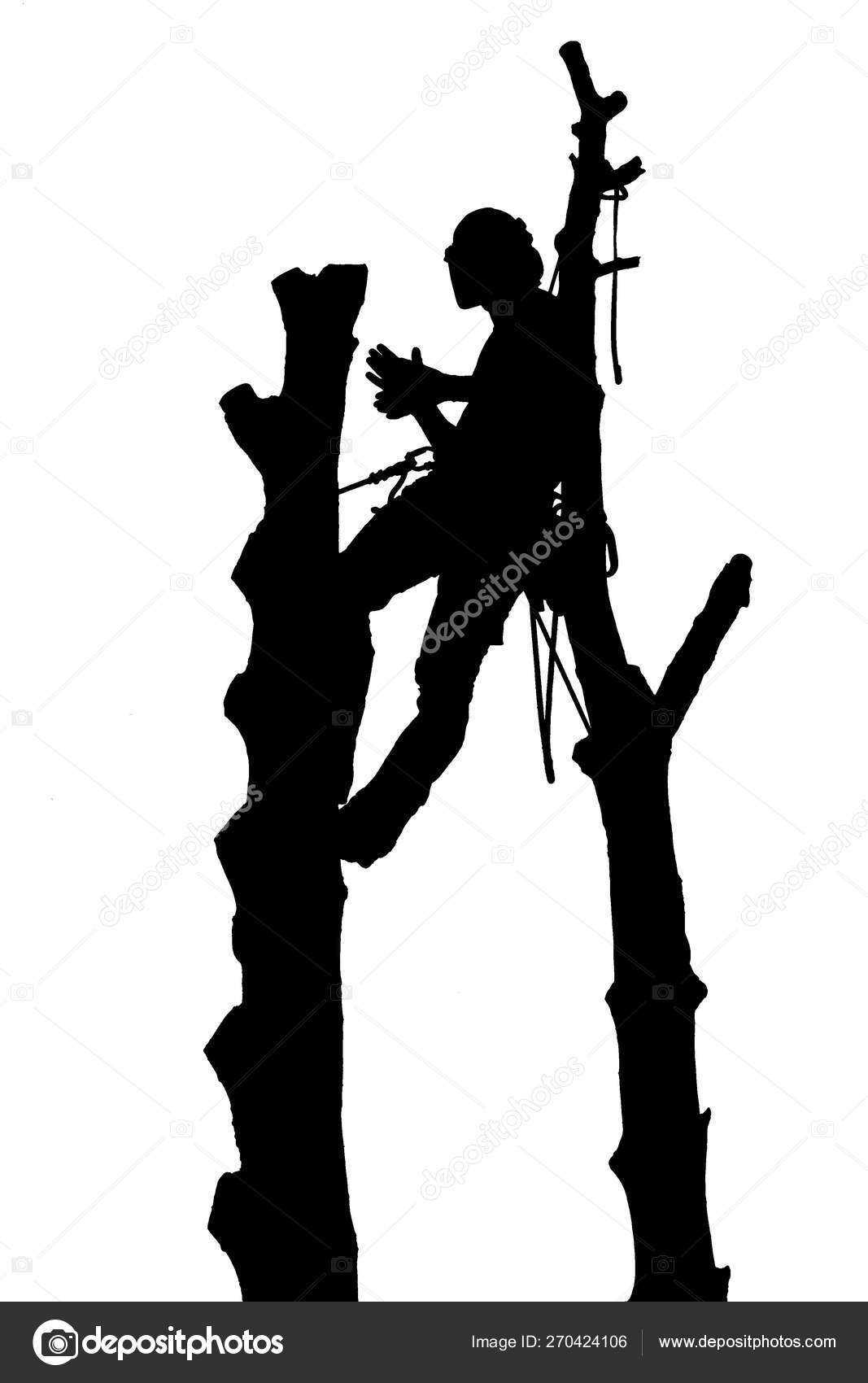 Tree Climber Silhouette