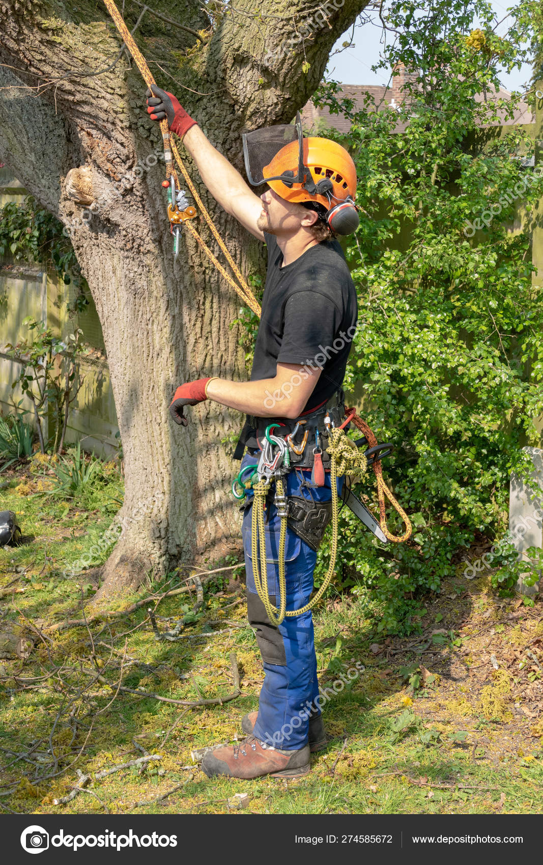 Tree Cutting Rope