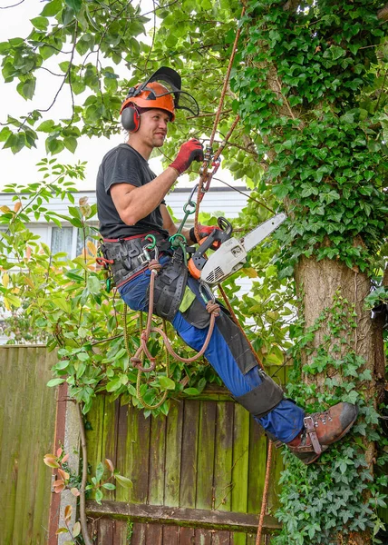 Female Arborist Roped Tree Ready Start Work — Stock Photo © diverroy ...