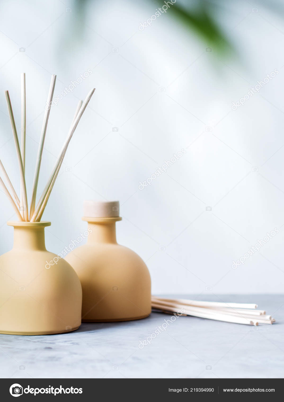 Aroma Reed Fragrance Diffusers Rattan Sticks Palm Leaf Light Grey Stock ...
