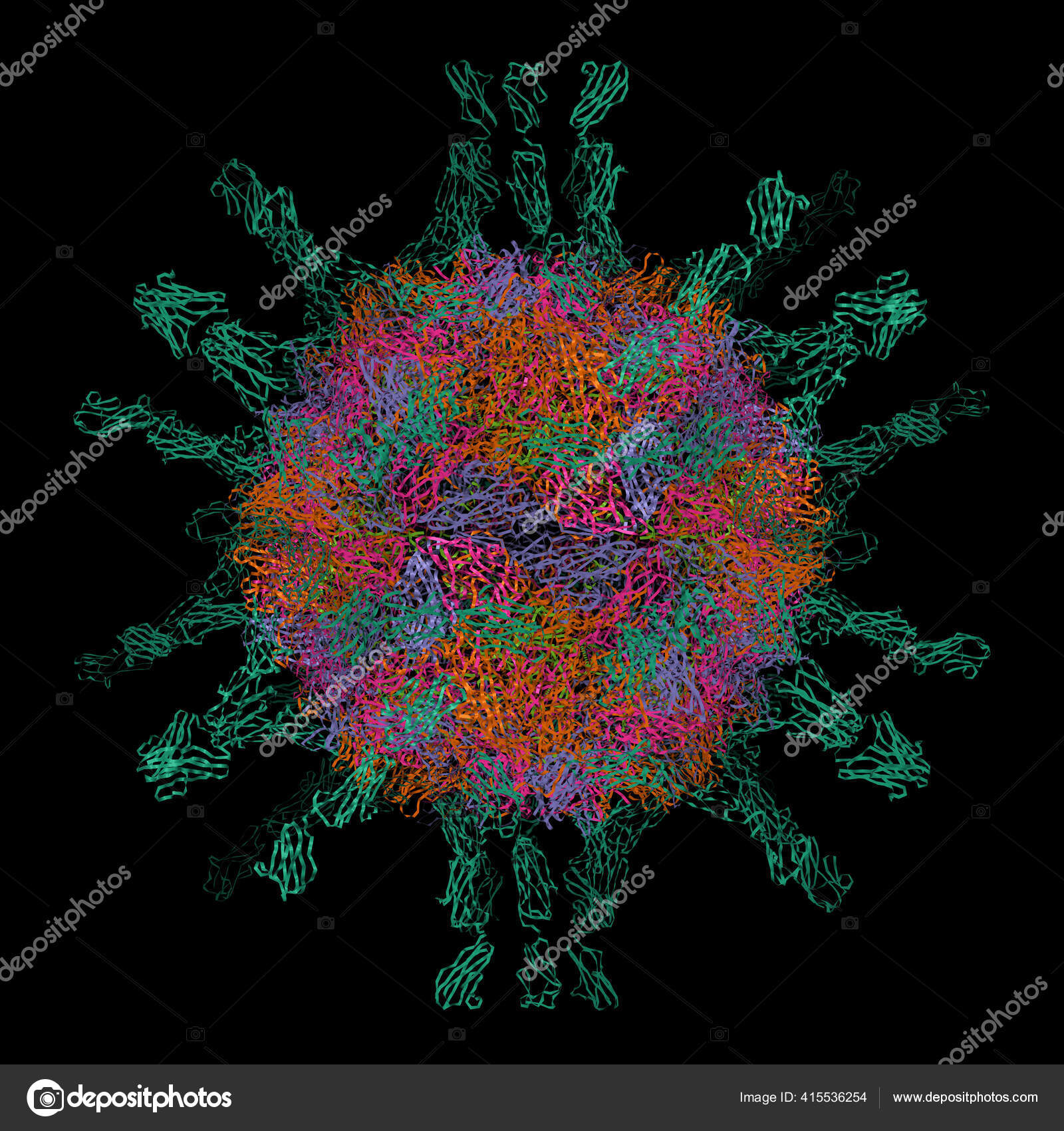 Poliovirus Structure