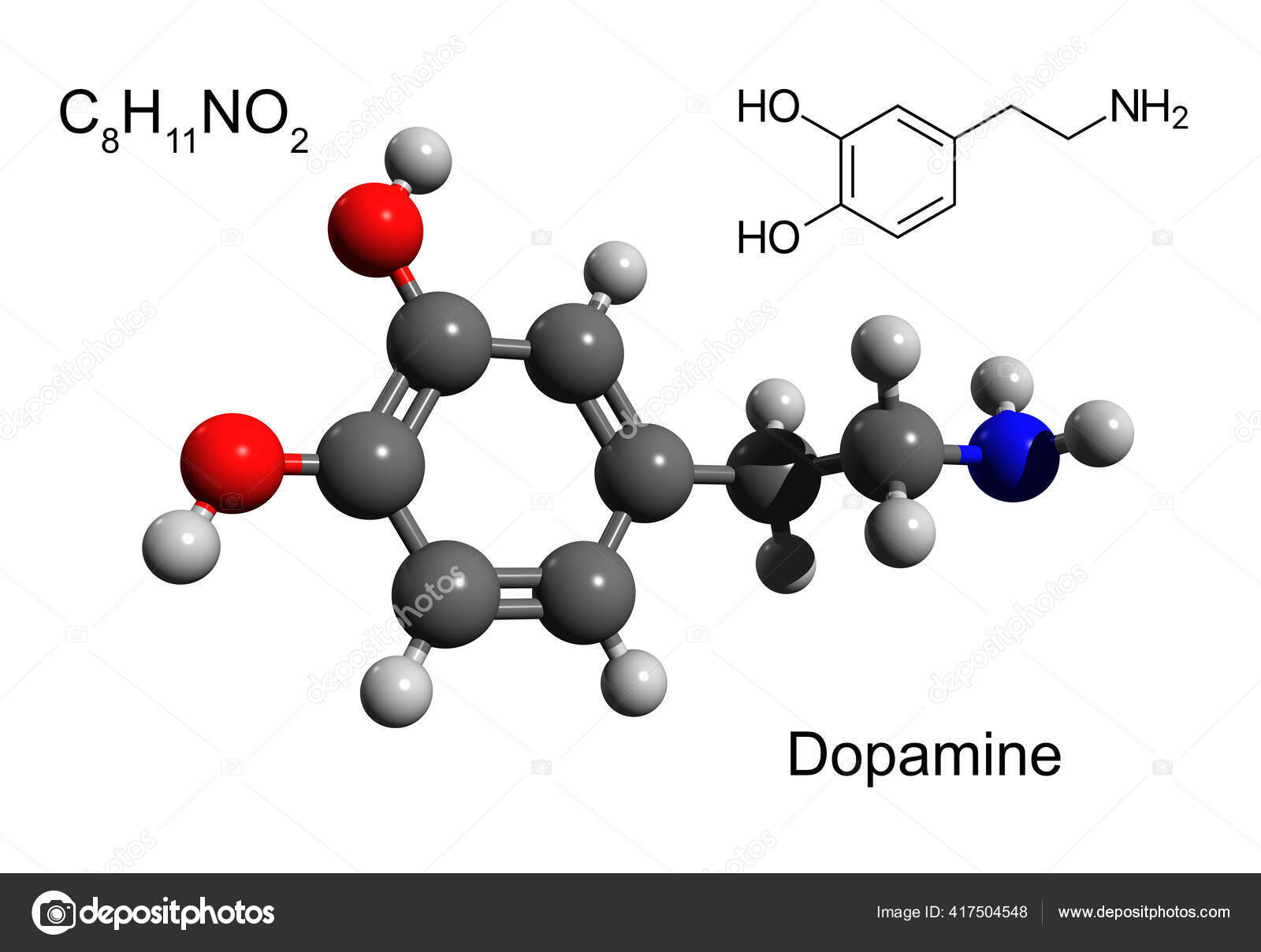 Neurotransmitter Dopamine