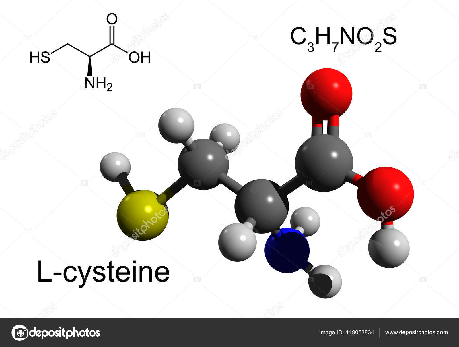 Cysteine Amino Acid Structure