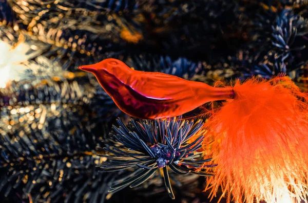 Colibrí de navidad Stock Photos, Royalty Free Colibrí de navidad Images ...