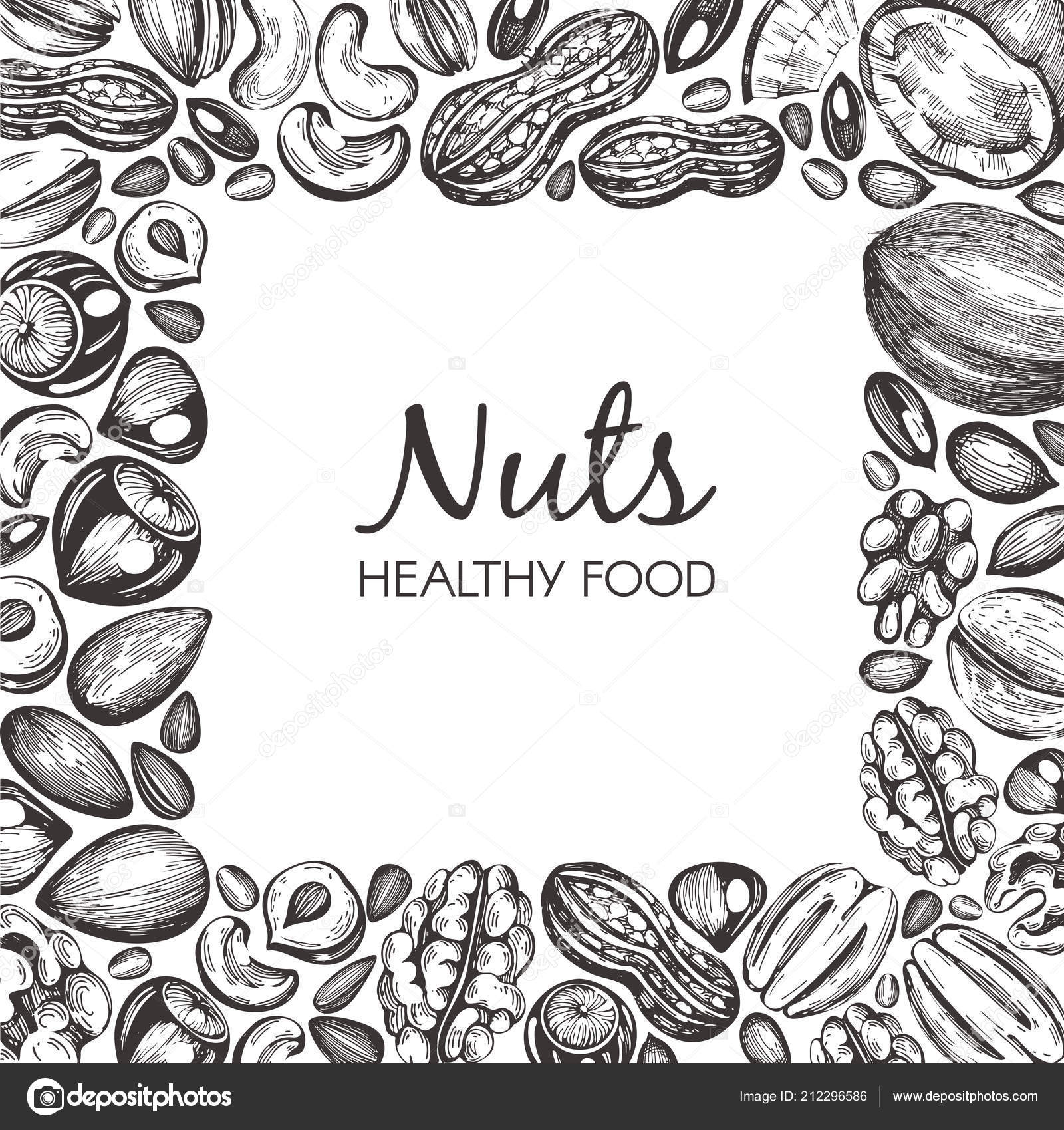 Vector Frame Graphic Nuts Stock Vector Image by ©Ollimay #212296586