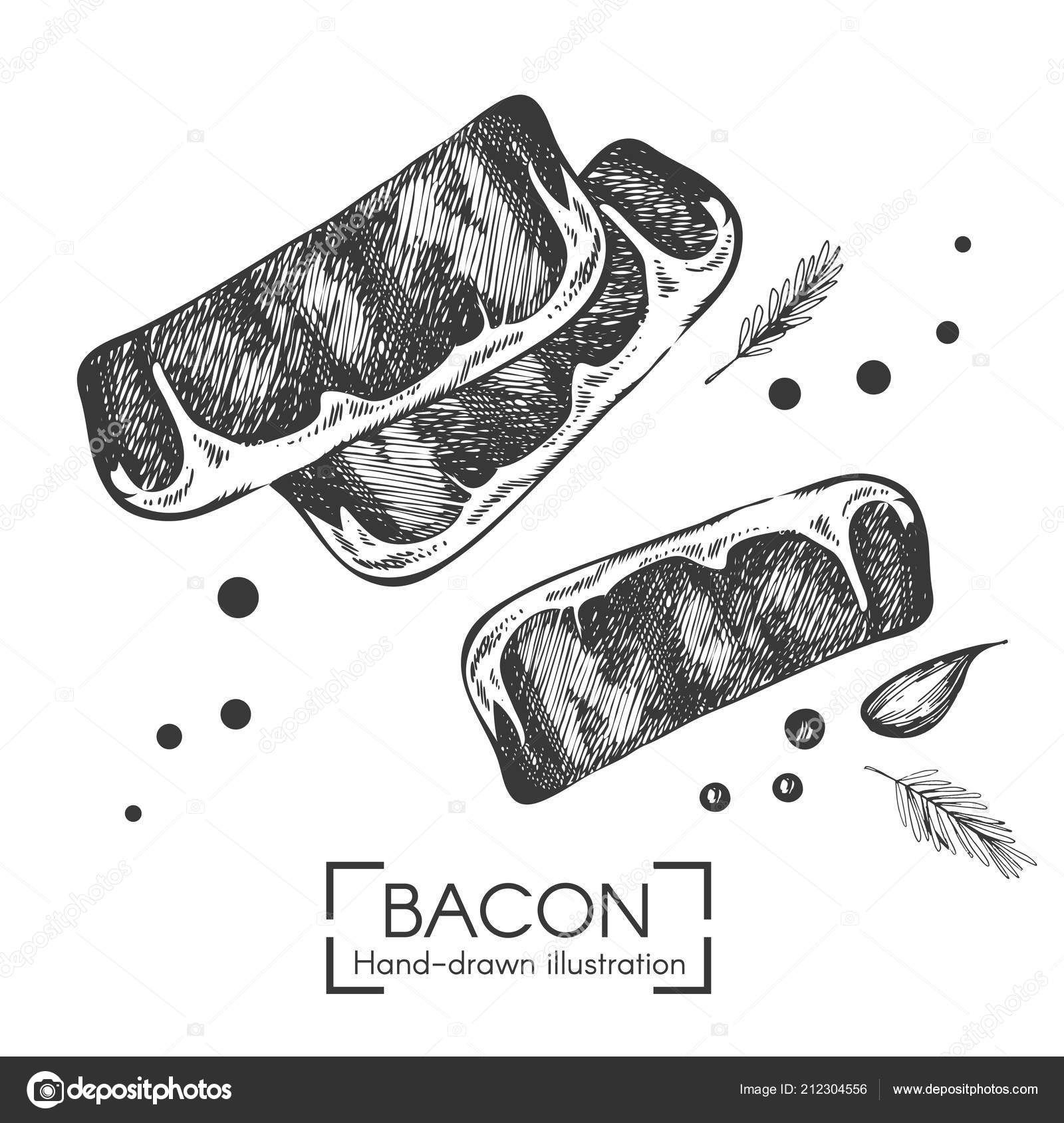 Vector Set Hand Drawn Ham White Background White Background Stock ...