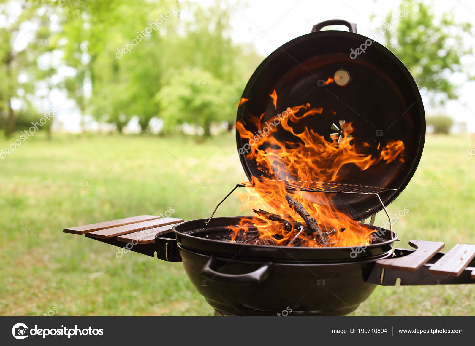 Bbq Grill Flames