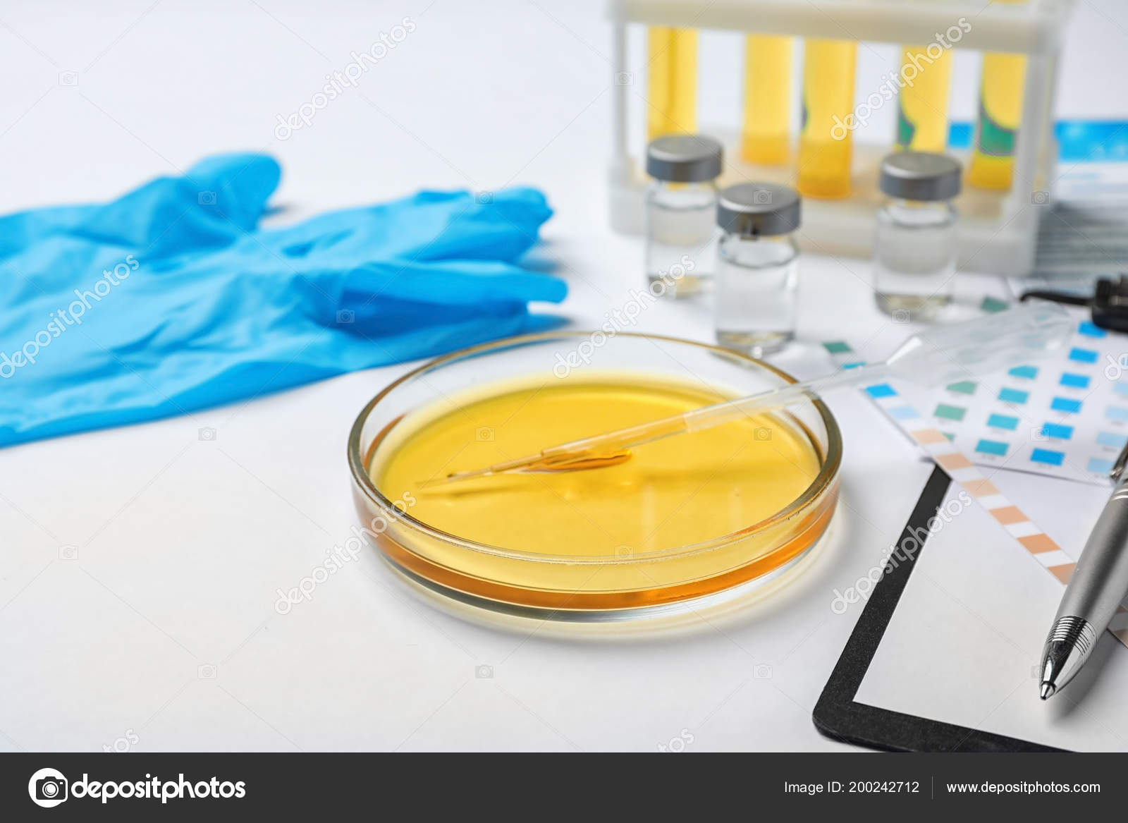 Glass Dish Urine Sample Table Urology Concept Stock Photo by ©NewAfrica ...