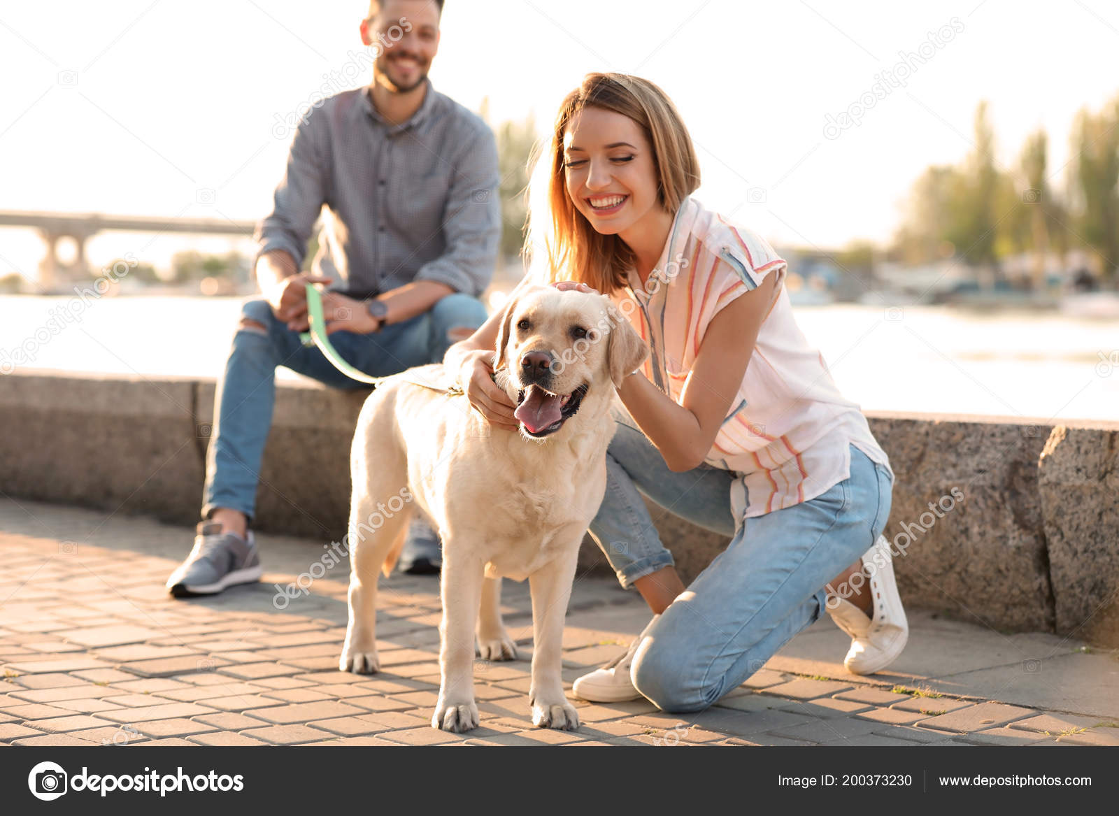 Cute Yellow Labrador Retriever Owners Outdoors — Stock Photo ...