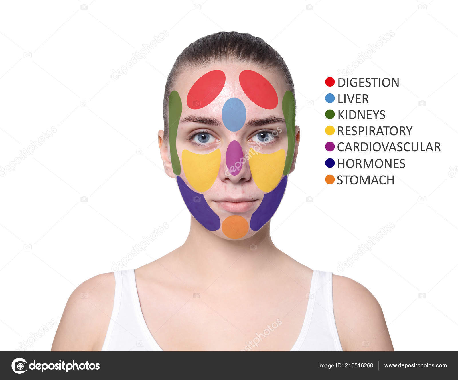 Facial Muscles and Their Functions - 069f82dee9d1b13948410c214fe63ac6 ...