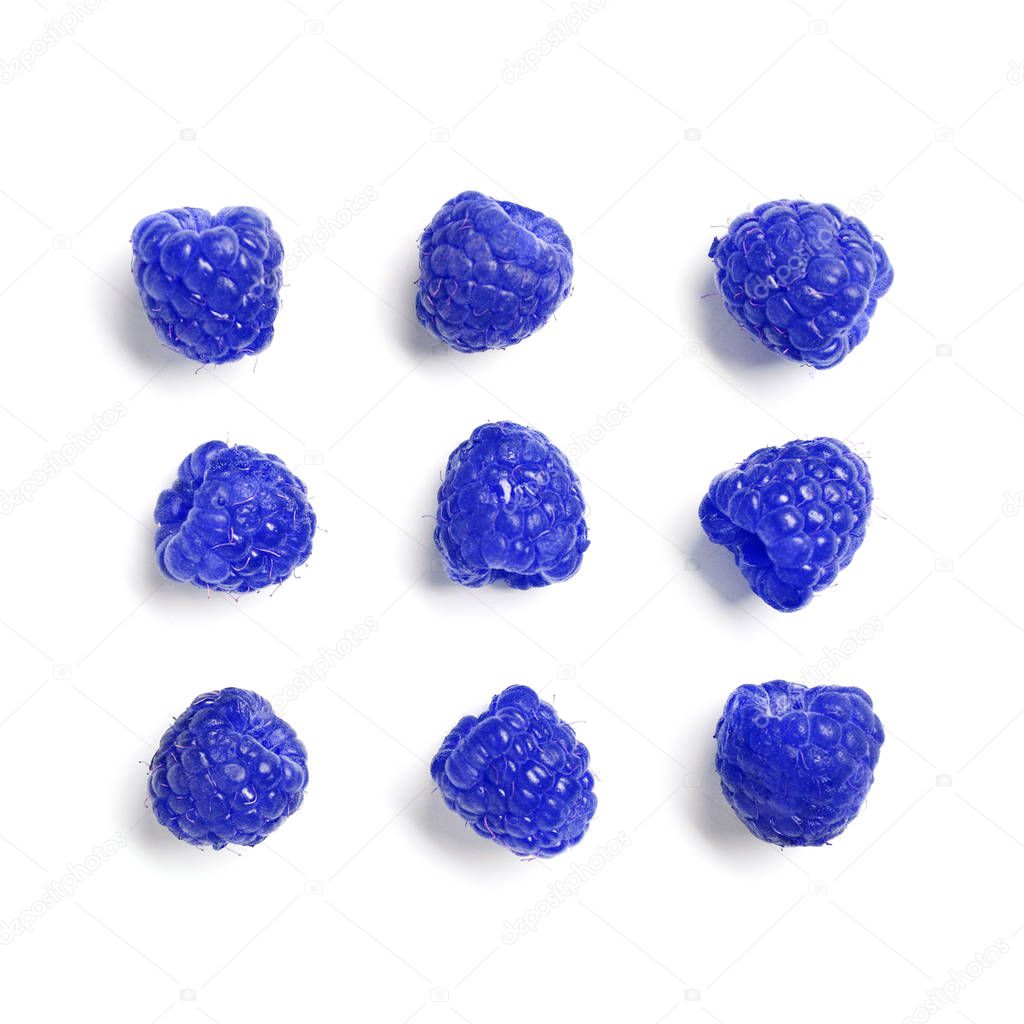 Set con frambuesas azules (Rubus leucodermis) sobre fondo blanco, vista ...