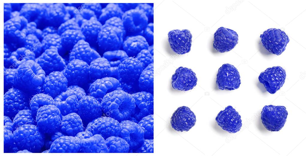 Set con frambuesas azules (Rubus leucodermis) sobre fondo blanco 2024