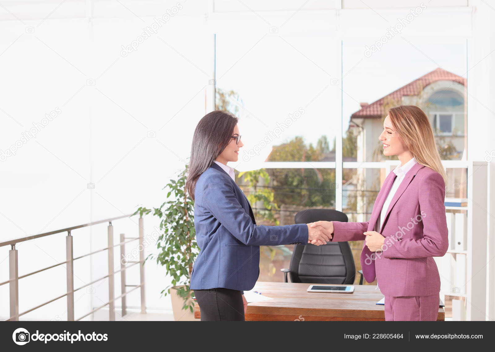Human Resources Manager Shaking Hands Applicant Job Interview Office ...