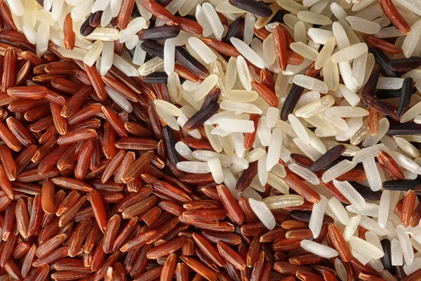 Mix Different Brown Rice Background Top View Stock Photo by ©NewAfrica ...