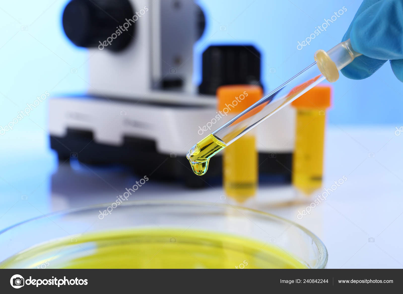 Laboratory Assistant Dripping Urine Sample Analysis Pipette Petri Dish ...