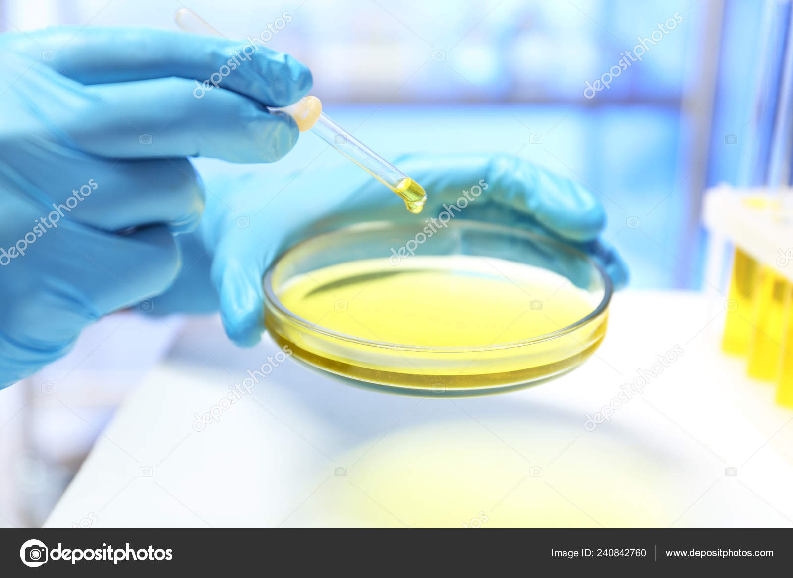 Laboratory Assistant Dripping Urine Sample Analysis Pipette Petri Dish ...