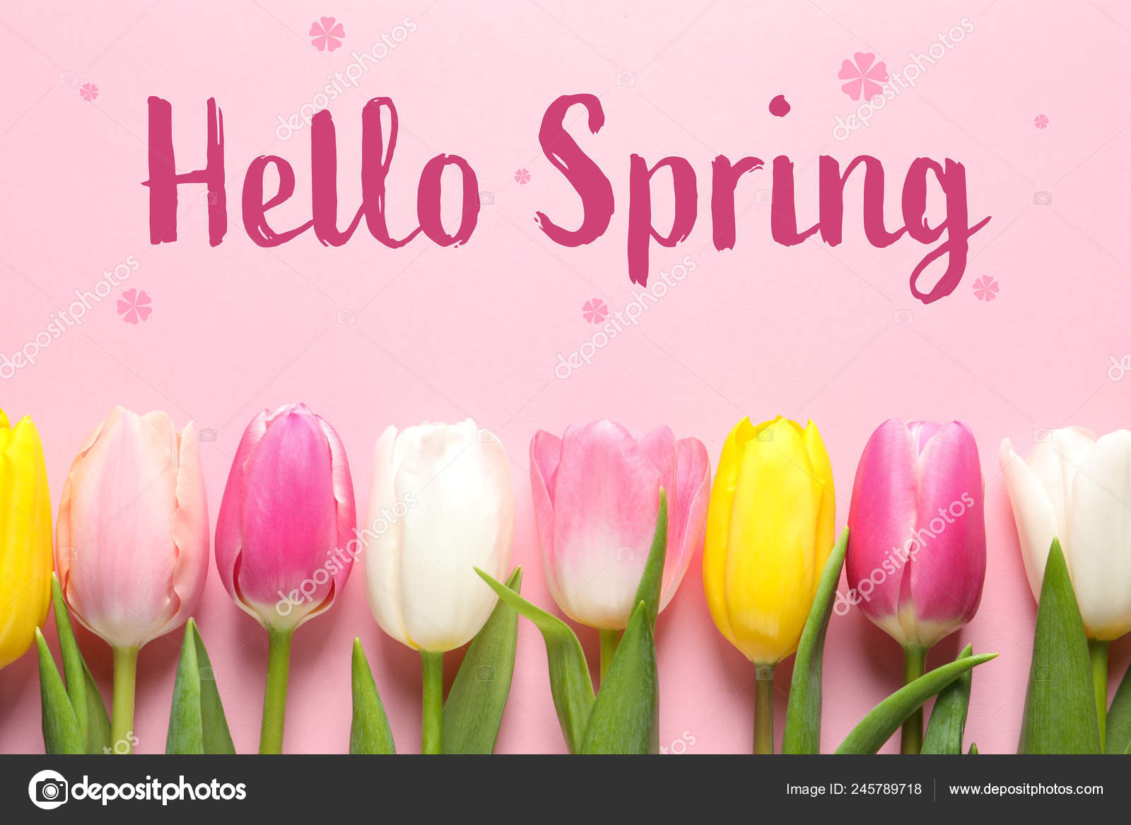 Flat Lay Composition Beautiful Flowers Text Hello Spring Color ...