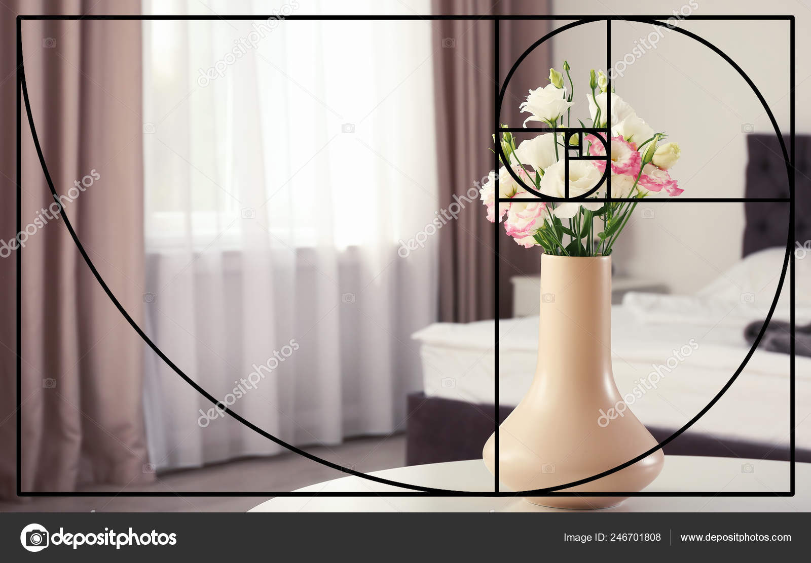 Fibonacci Spiral In Photography