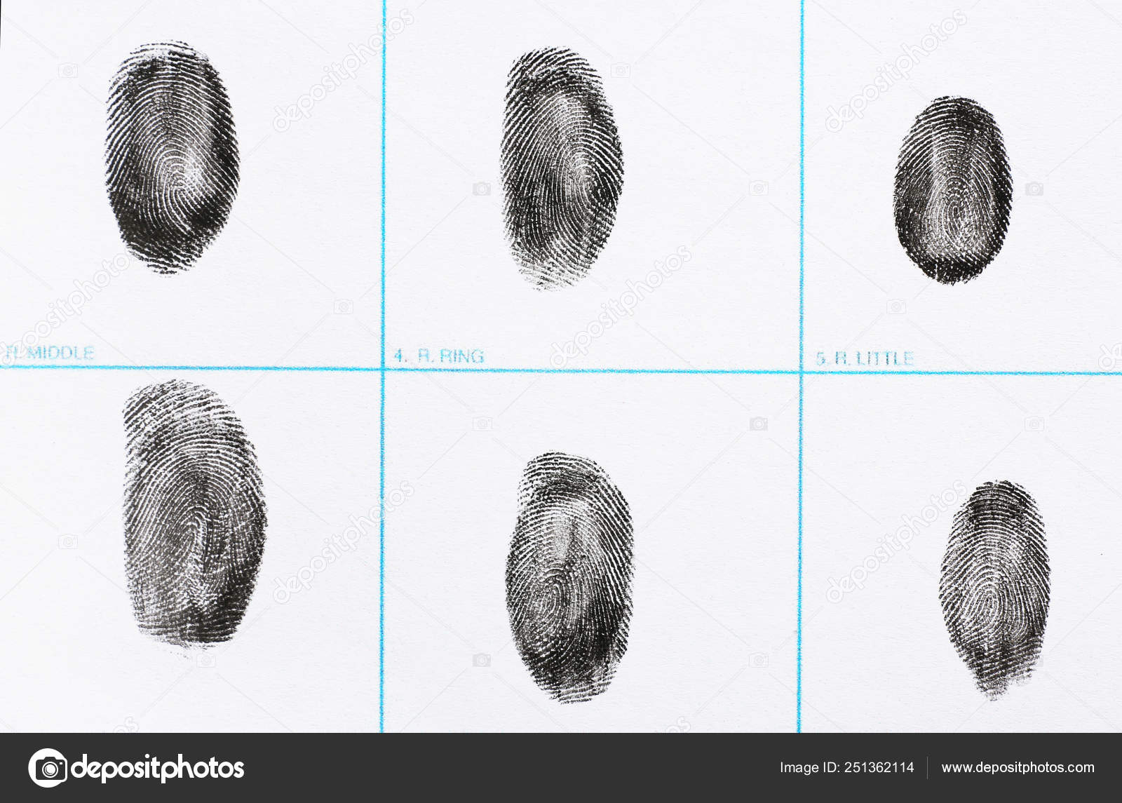 Fingerprint record sheet, top view. Criminal investigation — Stock ...