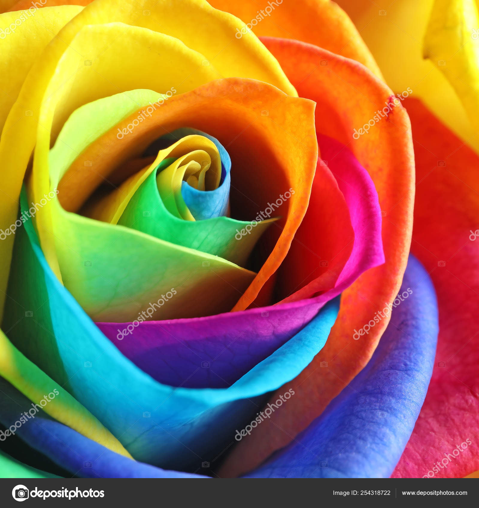 Pretty Rainbow Flowers