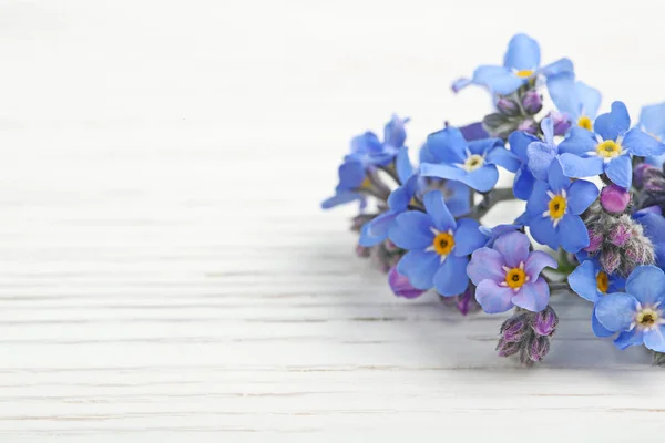 White forget me not flowers Images - Search Images on Everypixel