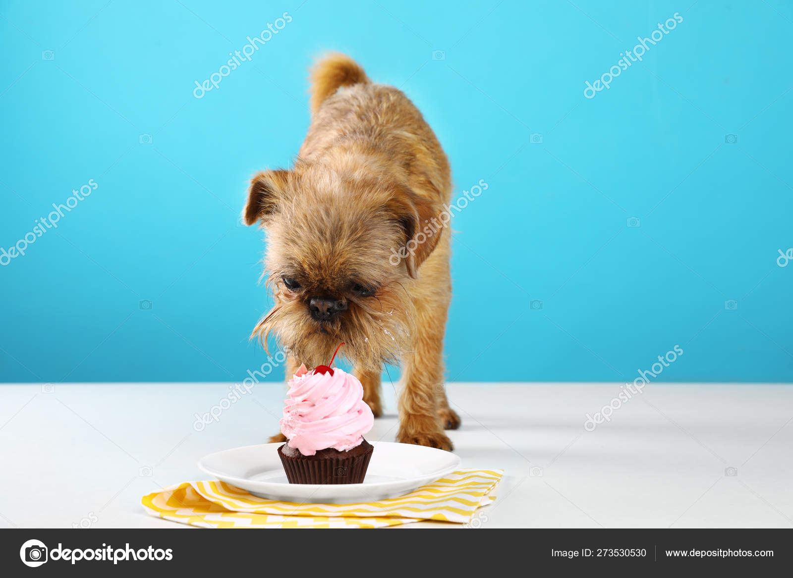 Dog Eating Cupcake