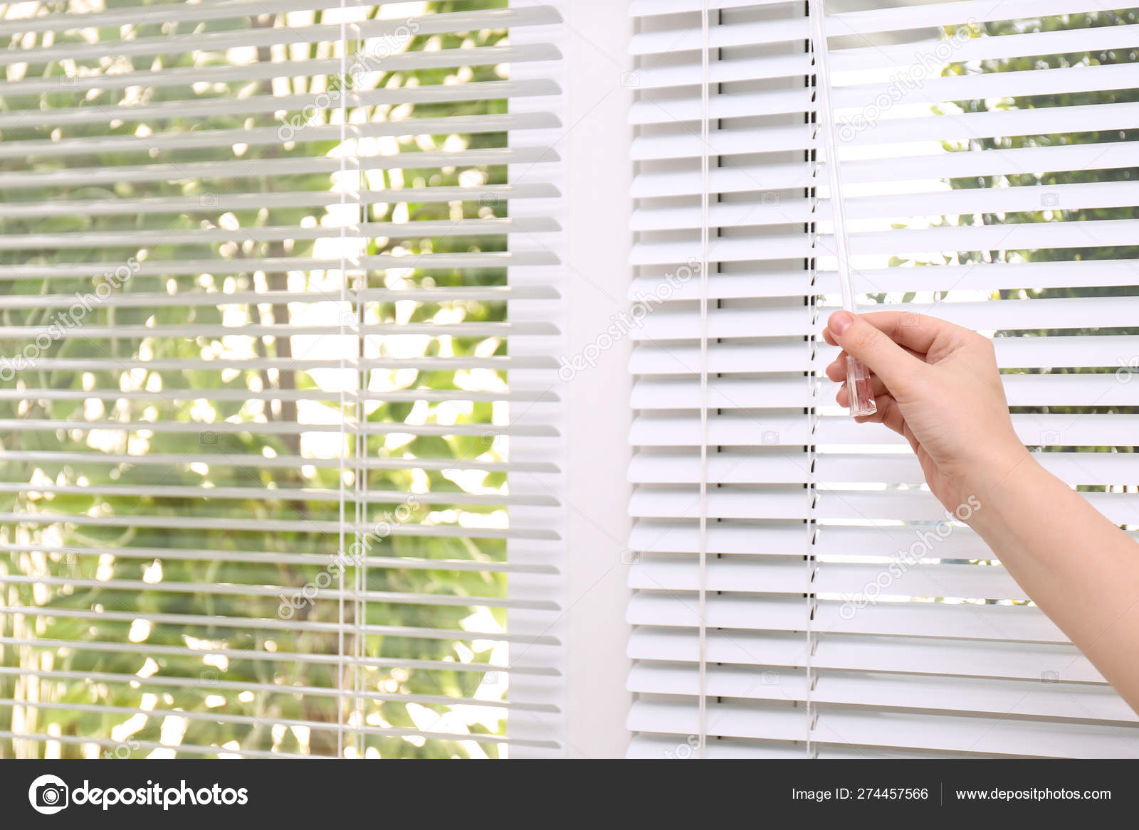 Woman opening white horizontal window blinds, closeup Stock Photo by ...
