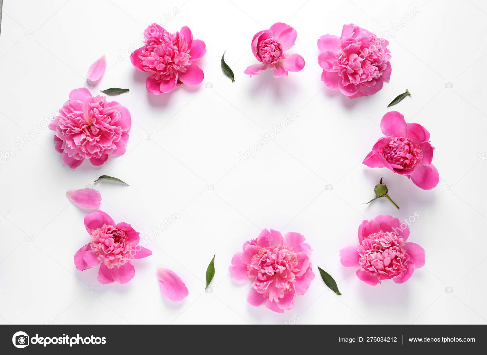 Frame made with fresh peonies on white background, top view. Space for ...