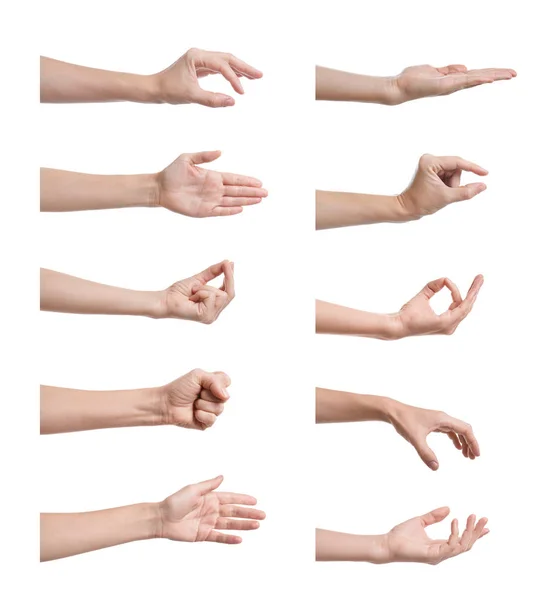 Set various hands gestures Stock Photos, Royalty Free Set various hands ...