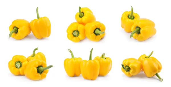 Imágenes de Seqüência de pimenta, fotos de Seqüência de pimenta sin royalties | Depositphotos