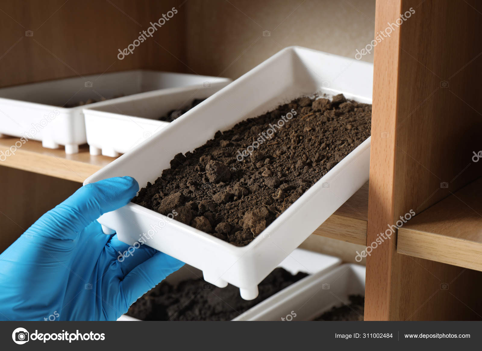 Soil Sample Container