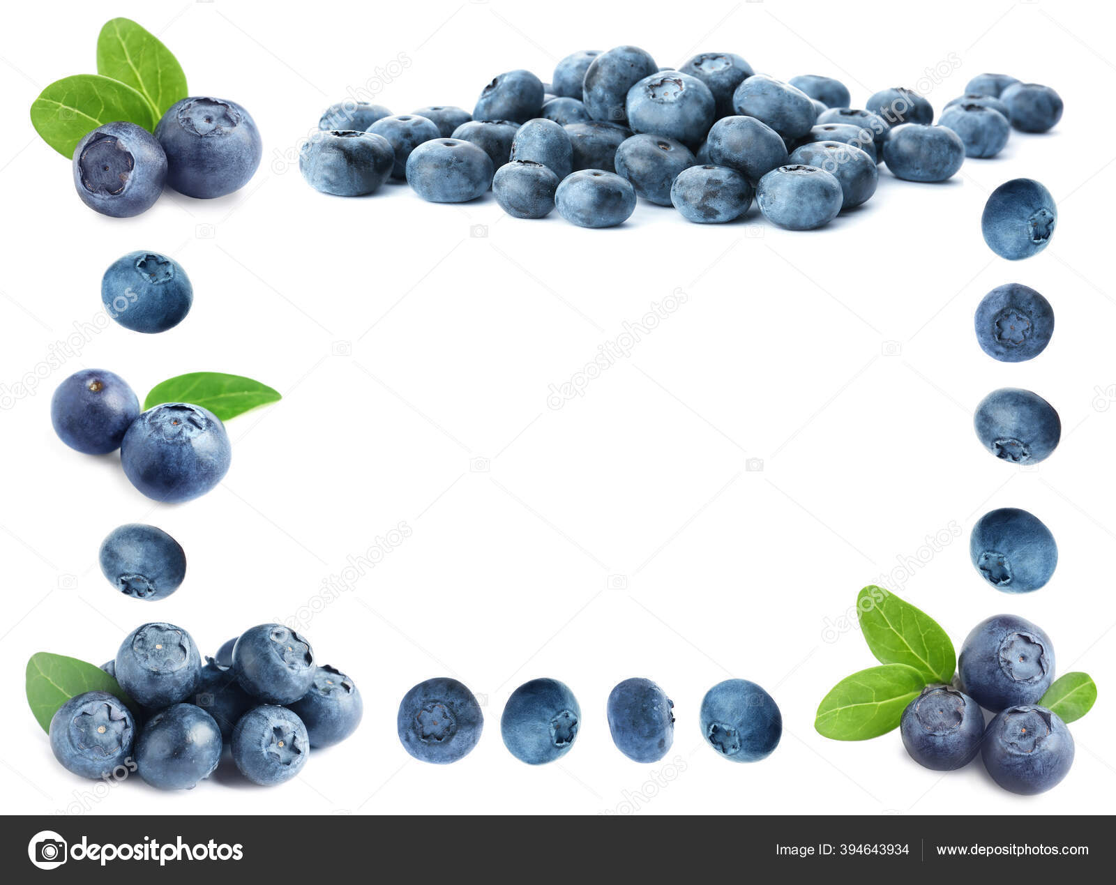 Frame Fresh Blueberries White Background Stock Photo by ©NewAfrica ...