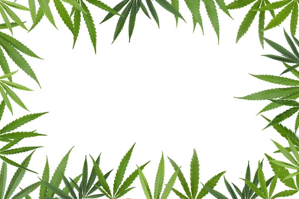 Marijuana border Stock Photos, Royalty Free Marijuana border Images ...
