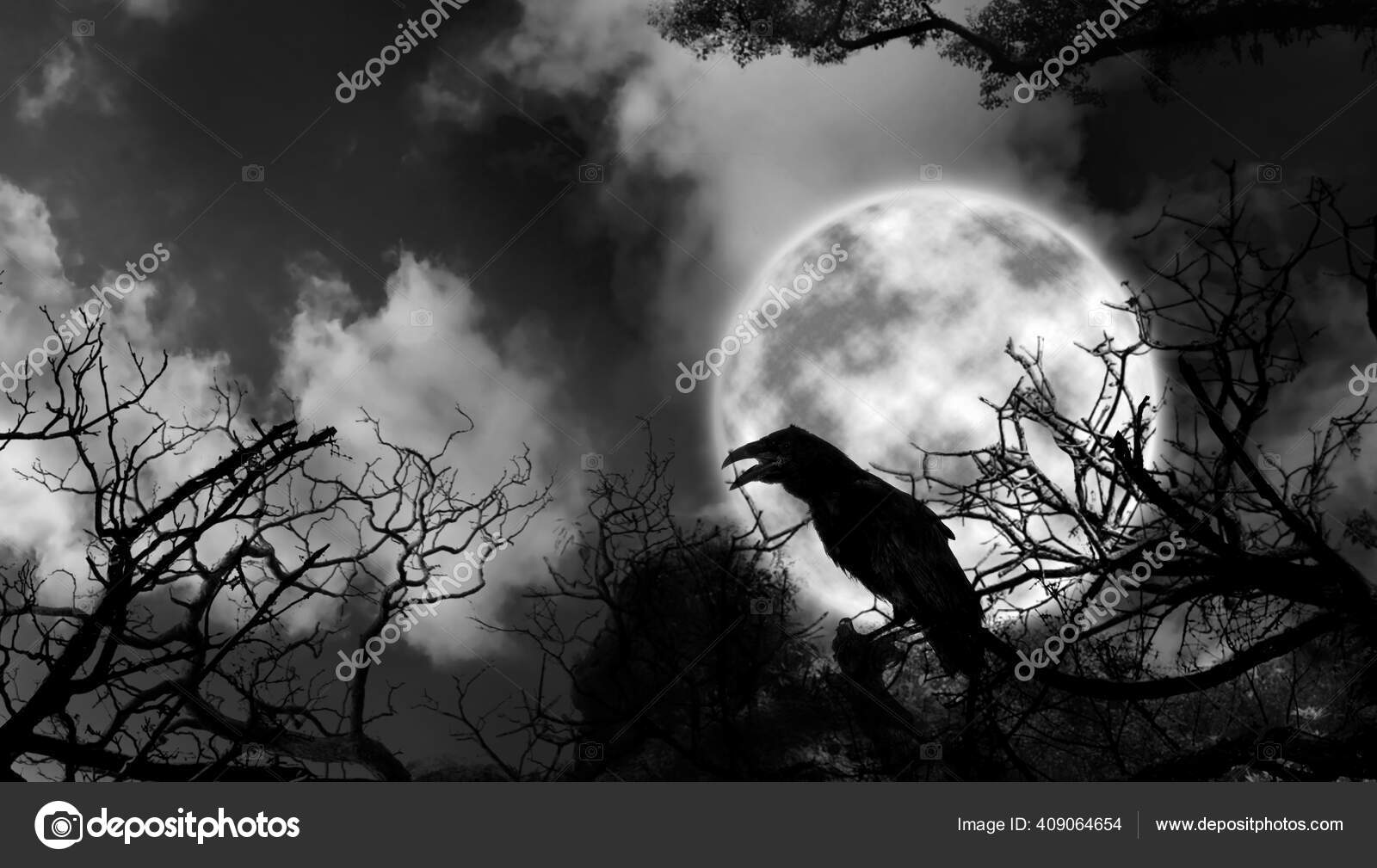Creepy Black Crow Croaking Scary Dark Forest Full Moon Night Stock ...