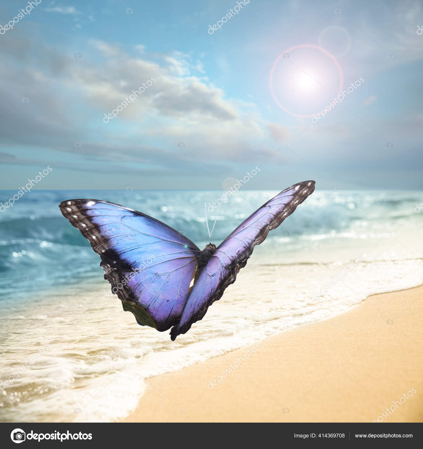 Beautiful Butterfly Flying